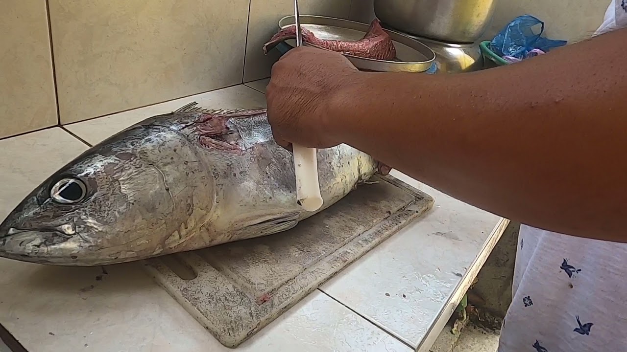 PROVINCE LIFE: HOW TO DEBONE TUNA FISH - YouTube