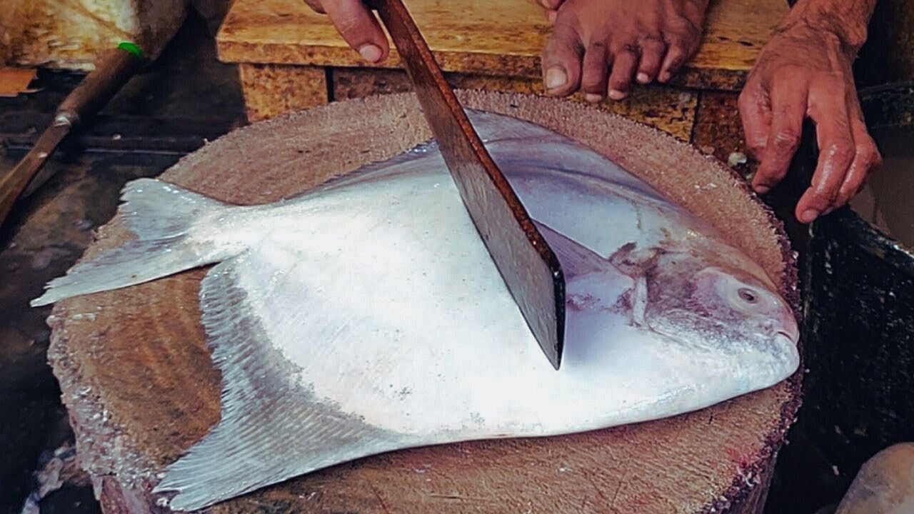Big Pomfret Fish Cutting In Fish Market | Rupchanda Fish Cutting Skills ...