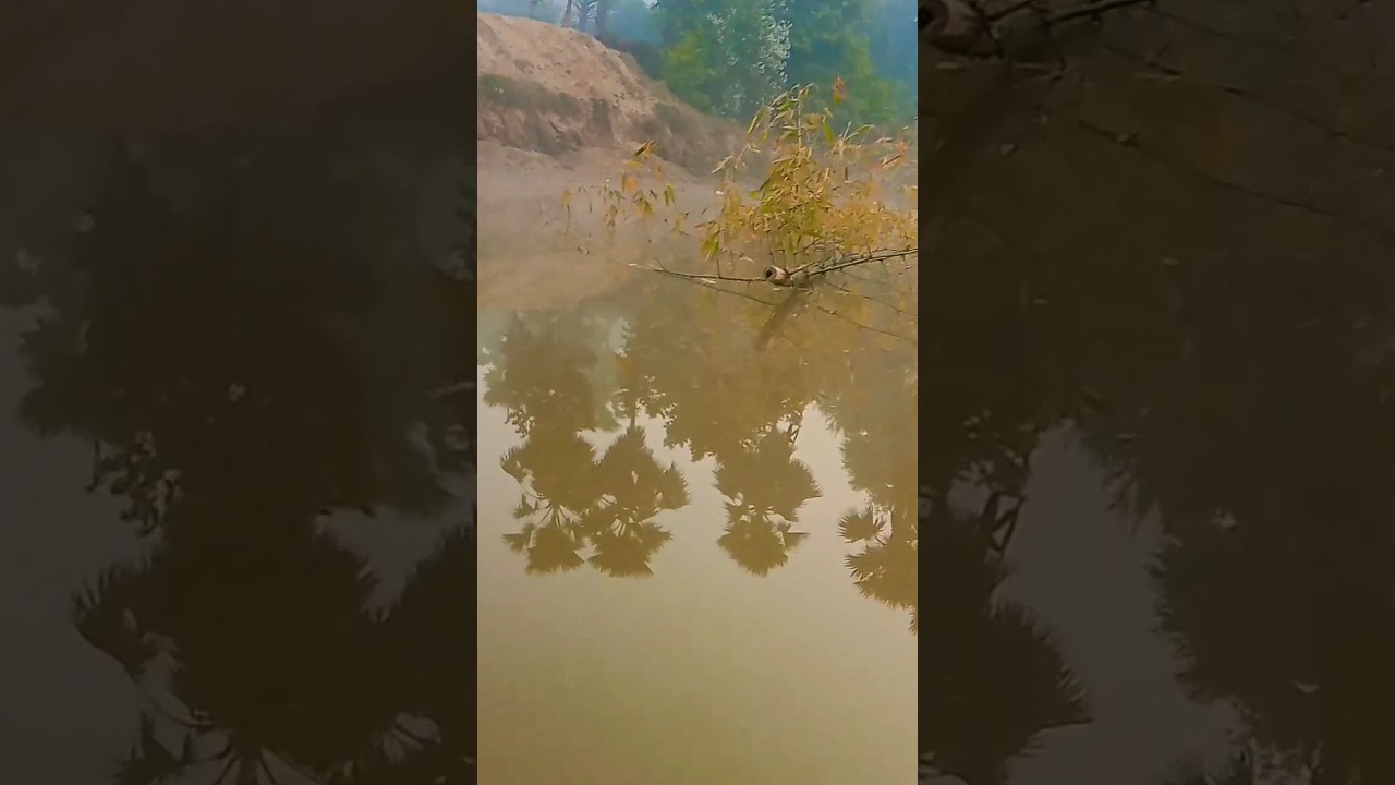 #lonly tere bin tere yaad yad me tadpe jiya oo ba variya | #hindisong #viralvideo #shorts - YouTube