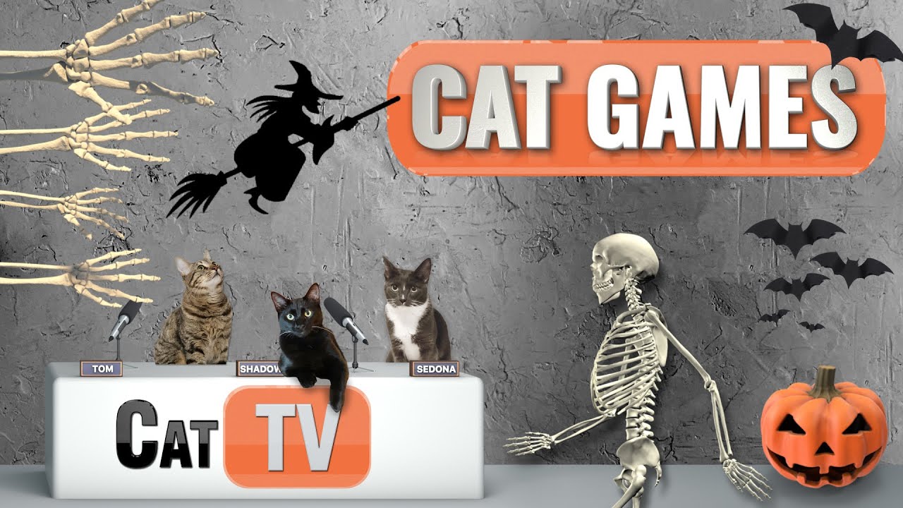 CAT TV | Spooky Halloween Compilation for Cats Vol 2 | 4K Videos For ...