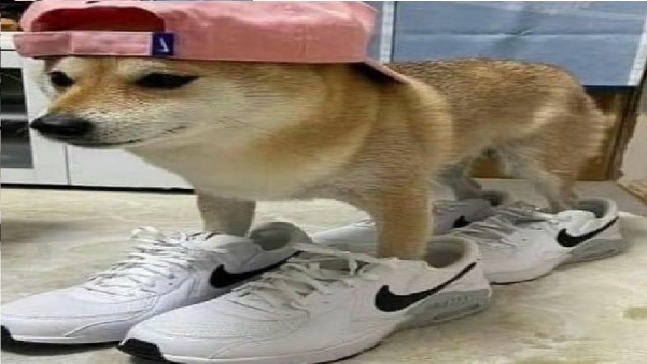 Dying Light montage - YouTube