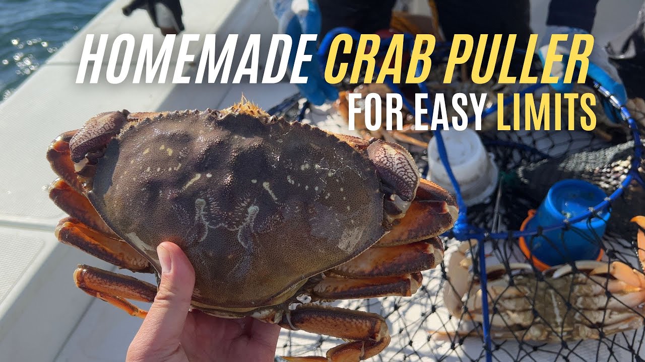 Homemade Electric Crab Puller For Easy Dungeons Crab Limits - YouTube