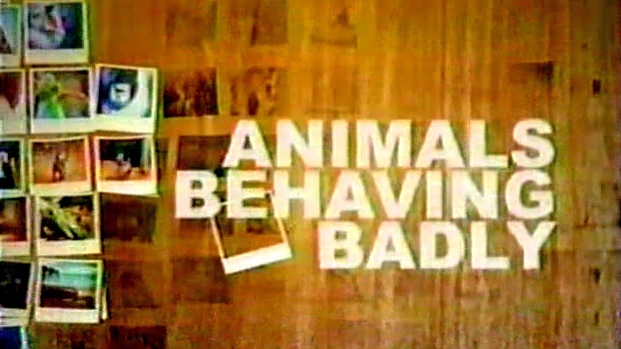 "Animals Behaving Badly" (Animal Planet) (2005 TV Special) ***VHS Recording*** - YouTube