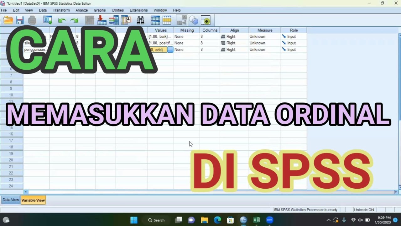 CARA MEMASUKAN DATA ORDINAL DI SPSS||@fathmachannel - YouTube