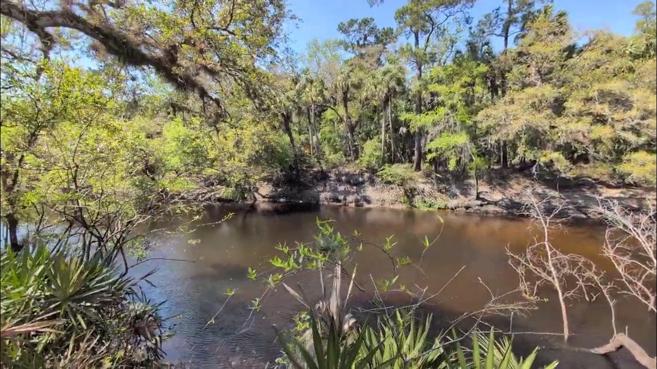 River Trail has Stunning Scenery on Econlockhatchee at Little Big Econ State Forest! Geneva ...