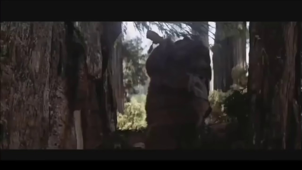 Ewok song - YouTube