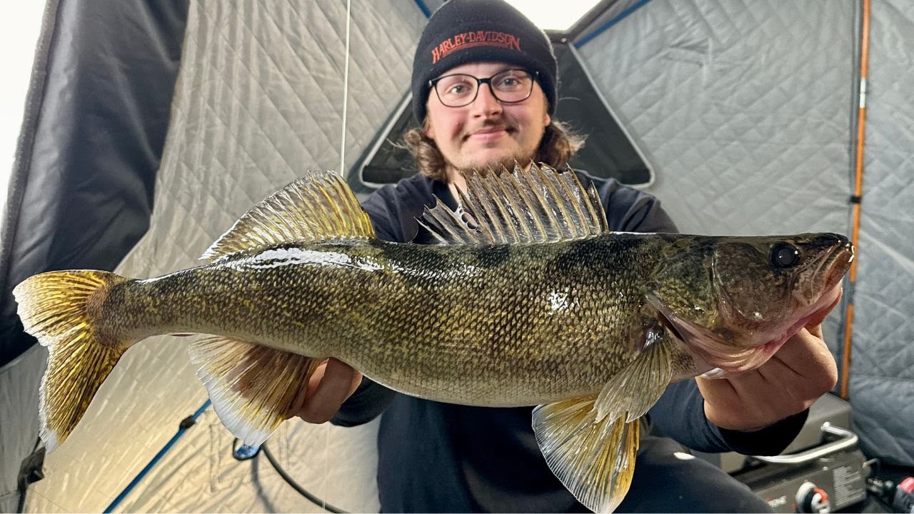 Big Walleyes On Lake Of the Woods - YouTube