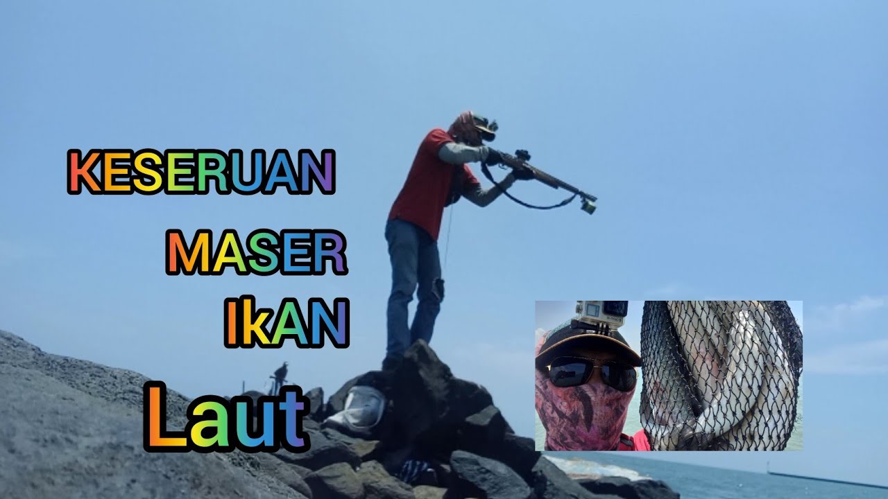 Pemberontakan Babon Babon Laut ||Paser Ikan Mania - YouTube