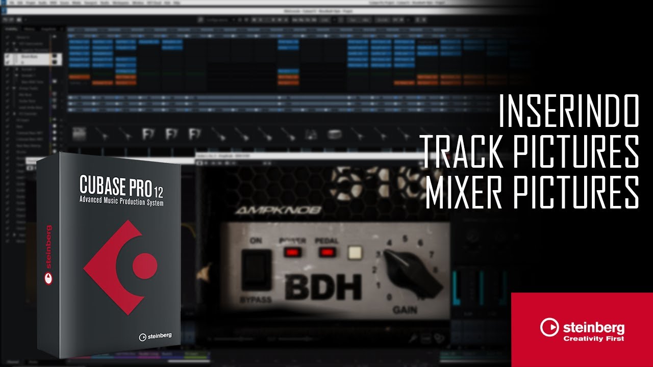 🎛️ Steinberg Cubase 12 | Inserindo Track & Mixer Pictures - YouTube