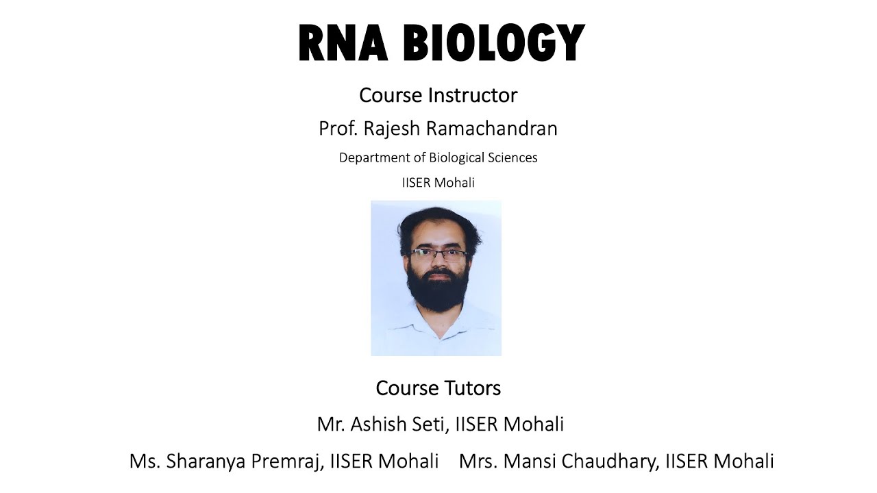 RNA Biology - YouTube