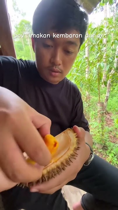 mirip buah durian (kembaran) #durian #fruits - YouTube