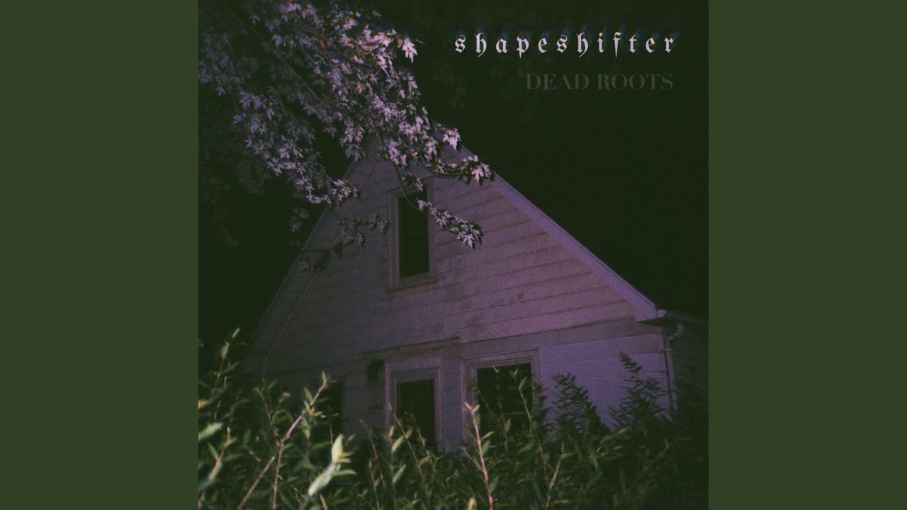 Shapeshifter - YouTube