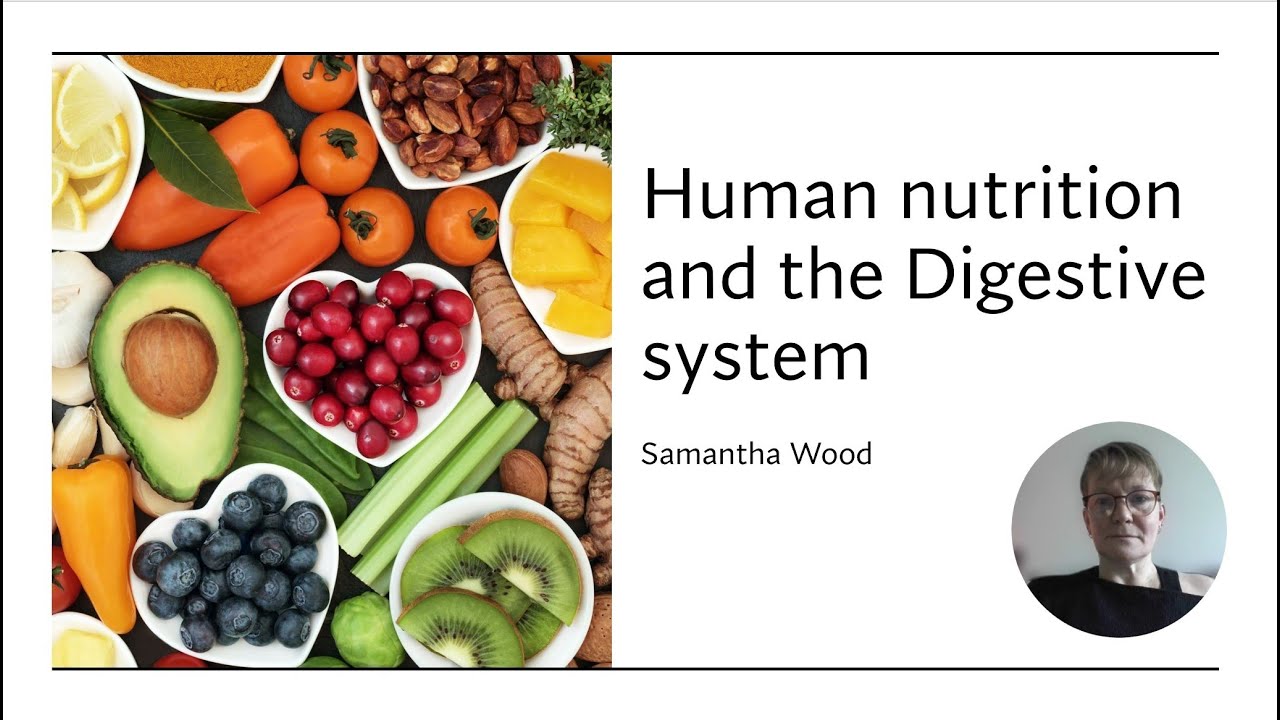 Unit 7 presentation - human digestion and nutrition - YouTube