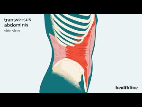 TVA Muscle Activated Day 2 - YouTube