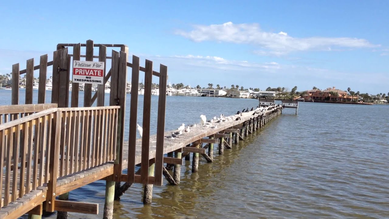 Pelican Pier - YouTube