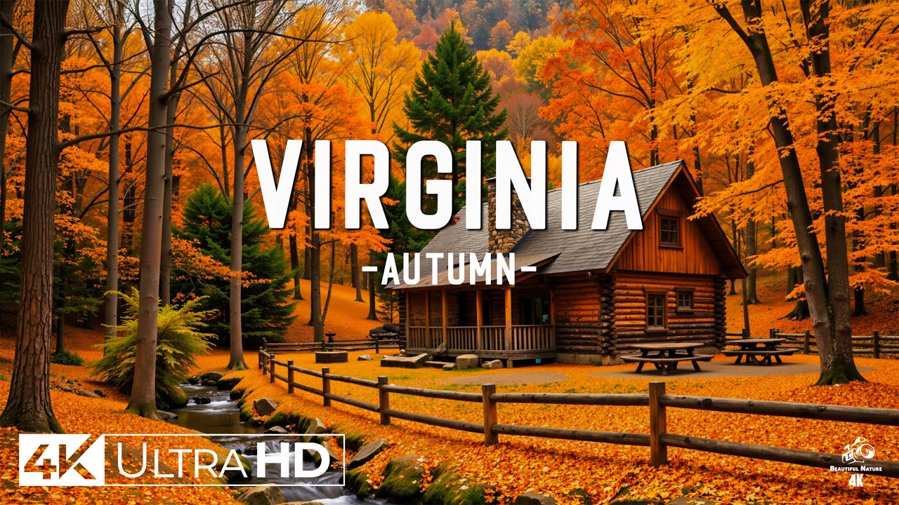 Autumn in Virginia 4K 🍁 Blue Ridge Parkway, Shenandoah Forests ...