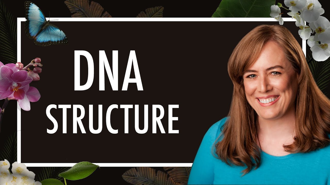 What is DNA Structure? How to Make a Double Helix with a 3D Pen ...