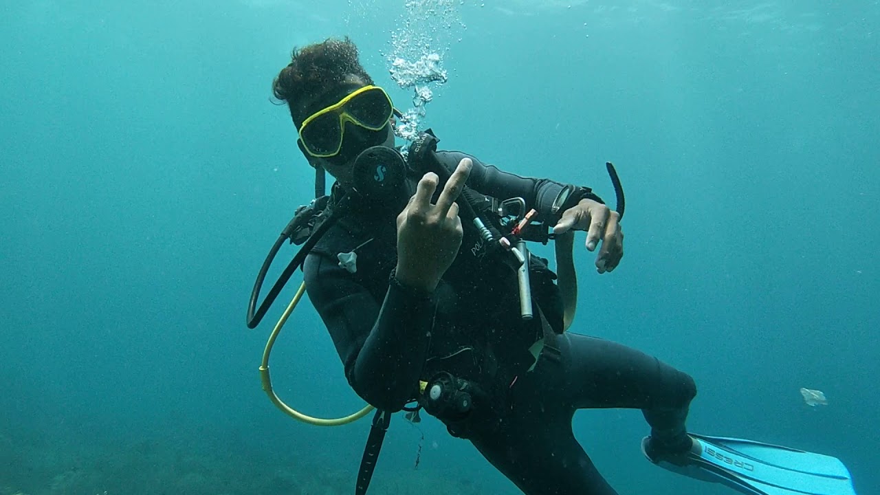 BUCEO TAGANGA, SANTA MARTA @iamdivercentertaganga - YouTube