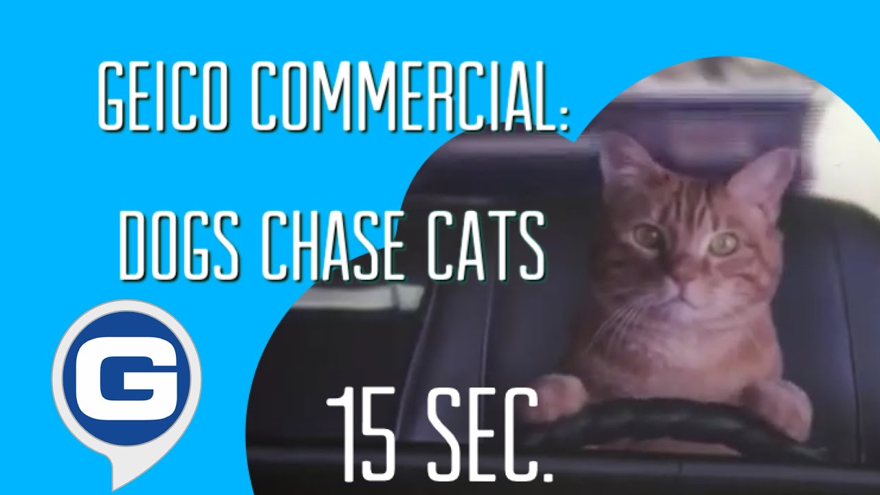 GEICO Commercial - Dogs Chase Cats [15 Second Version]🐈🦮🏎️🚘 (2011 ...