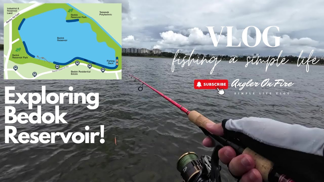 Vlog 13: Singapore Living, Fishing & Exploring Bedok Reservoir, Meals ...