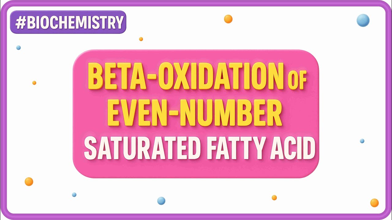 2.Beta-Oxidation of Even-Number Saturated Fatty Acids | Biochemistry ...