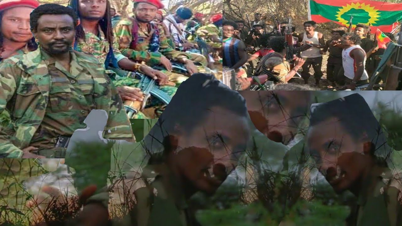 New Oromoo music 2022 Michuu Seenaa Ummata Koo Jedhe New 2022 Songs ...