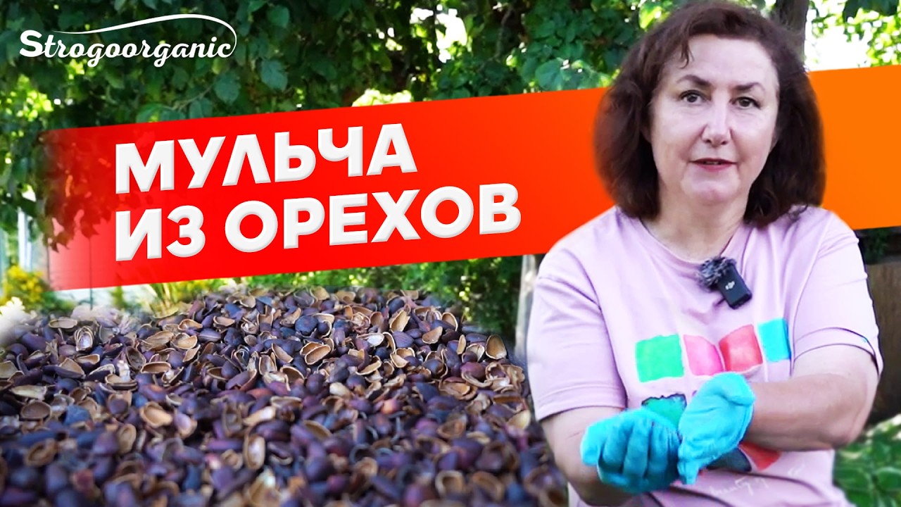 Идеальная мульча для кислолюбивых растений / Ученицы Strogoorganic - YouTube