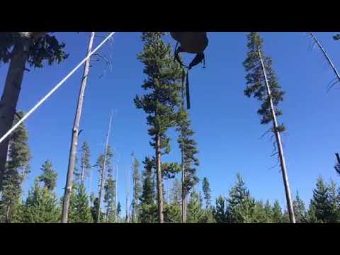Video of Backcountry Grebe Lake, WY from Rachel A. - YouTube