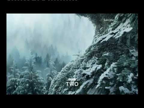 BBC2 Christmas idents 2018-2020 - YouTube