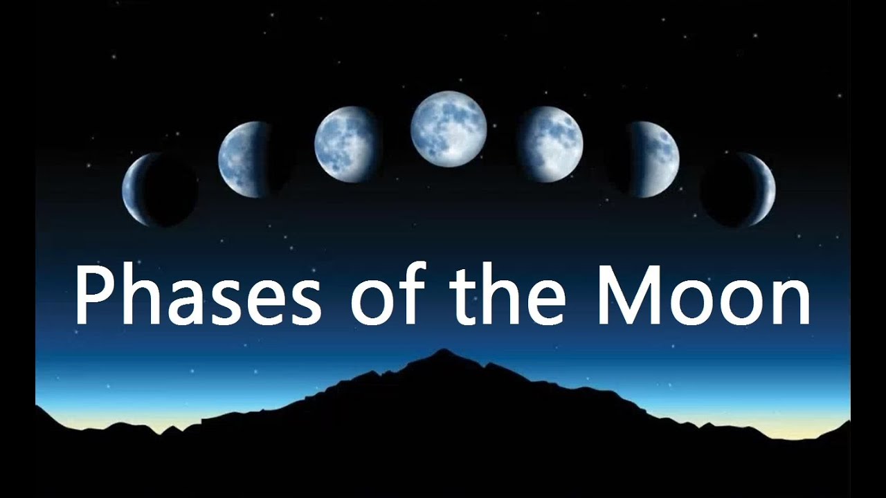 Phases of the MOON | Lunar Cycle | Science, Astronomy, Space, Solar ...