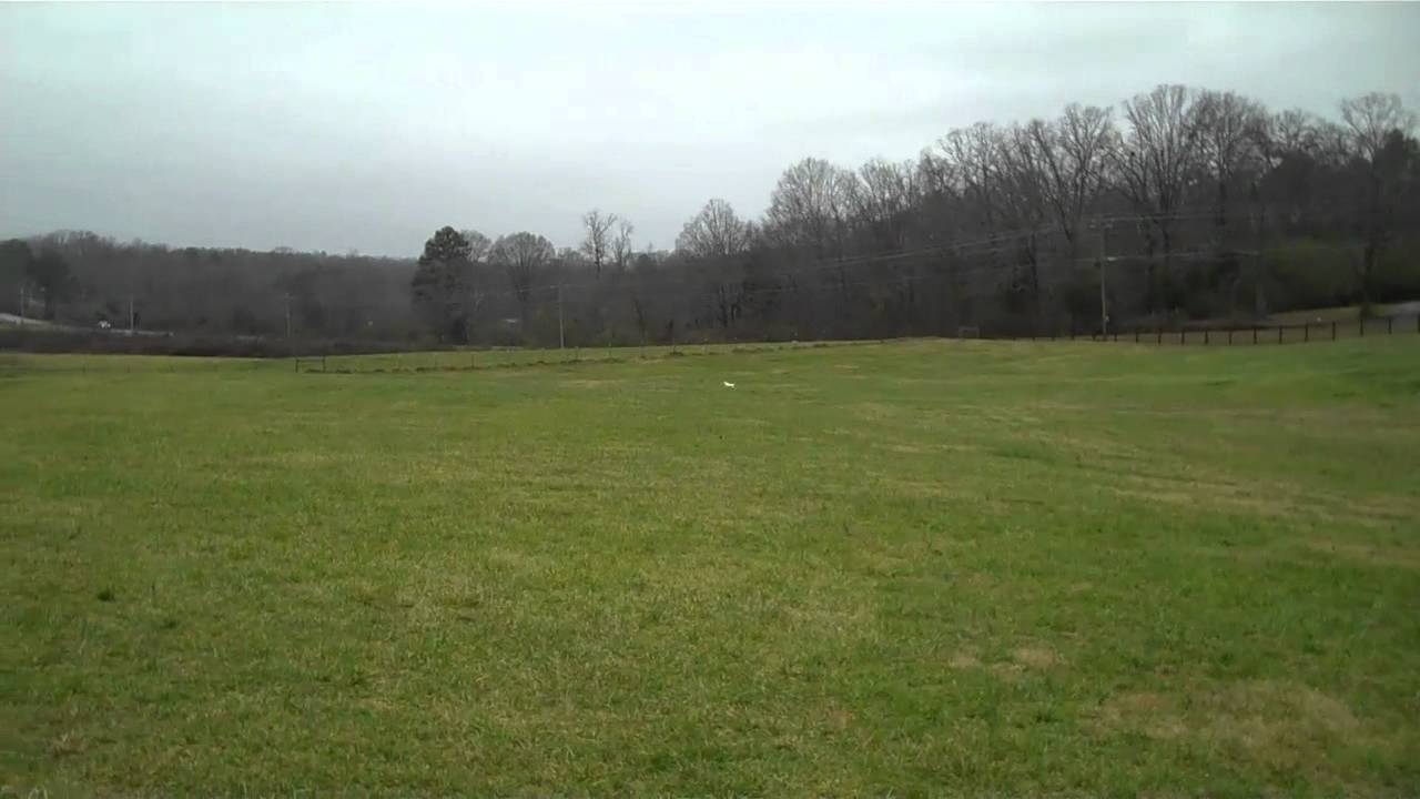 AKC CAT (Coursing Ability Test) - YouTube
