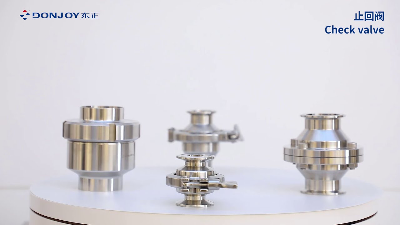 Sanitary Spring Check Valve Manufacturer Hygienic Check Valve - YouTube