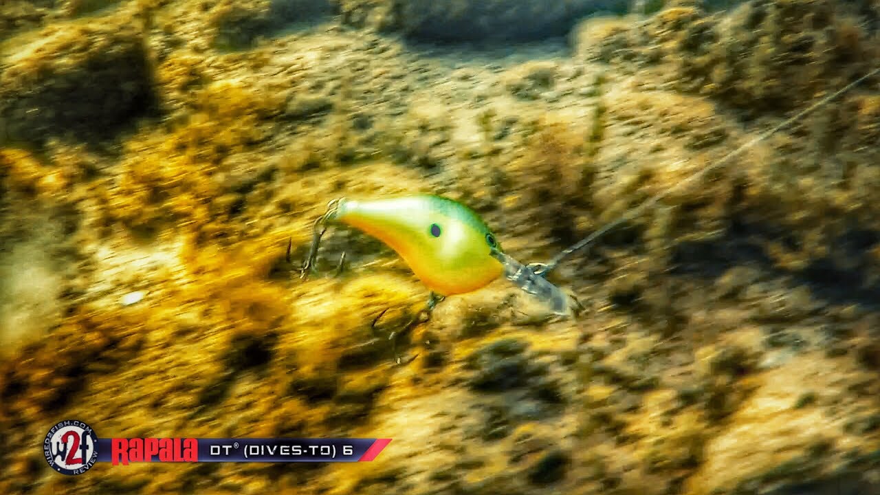 Rapala DT 6 Crankbait Underwater Video [Tackle Review] - YouTube