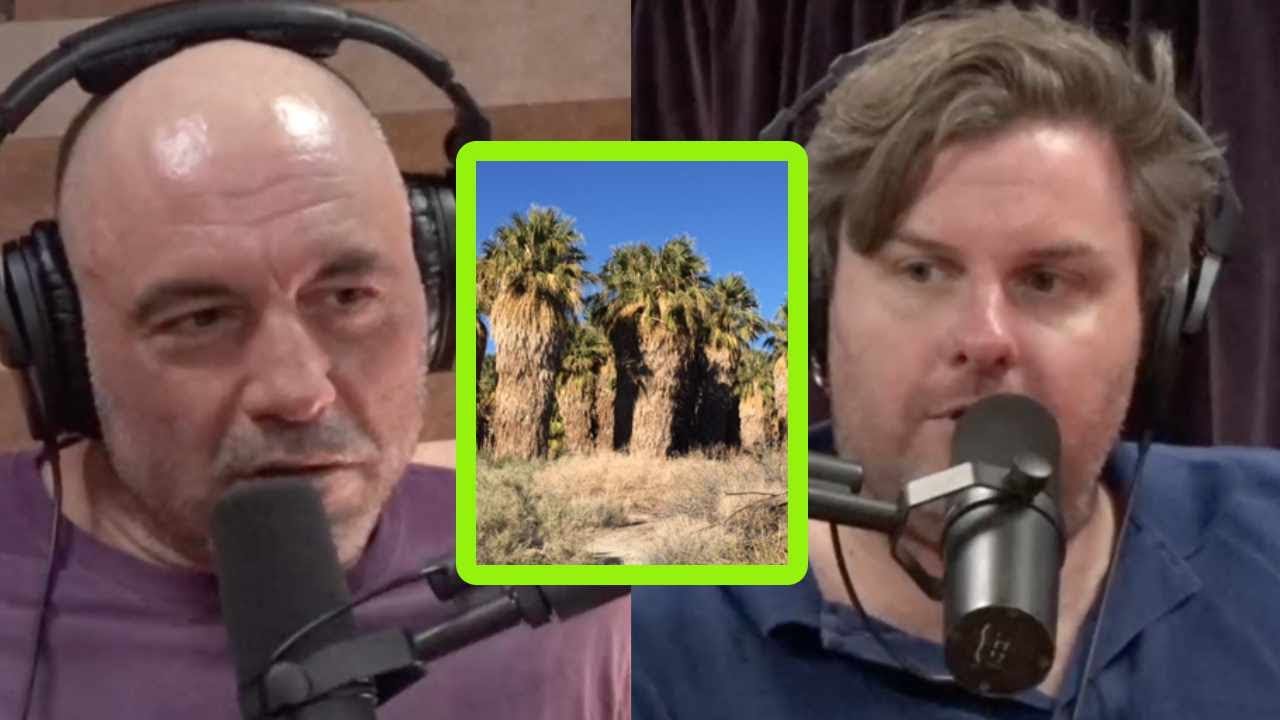 Why Tim Dillon Moved to the Desert - YouTube