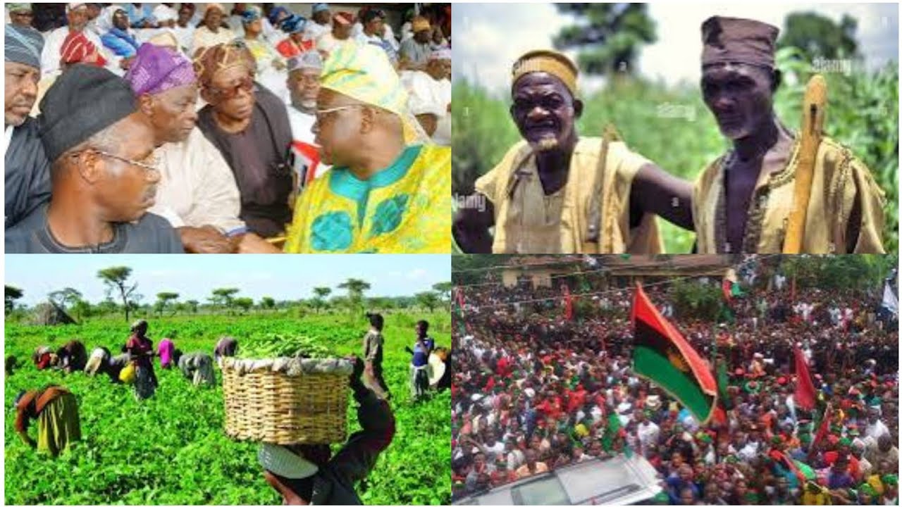WE HAVE BECOME SLAVES TO NORTHERN FARMERS AND IGBO TRADERS - YORUBAS ...