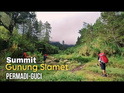REVIEW Pendakian Gunung Slamet Via Jalur Permadi Guci Tegal | Part 2 ...