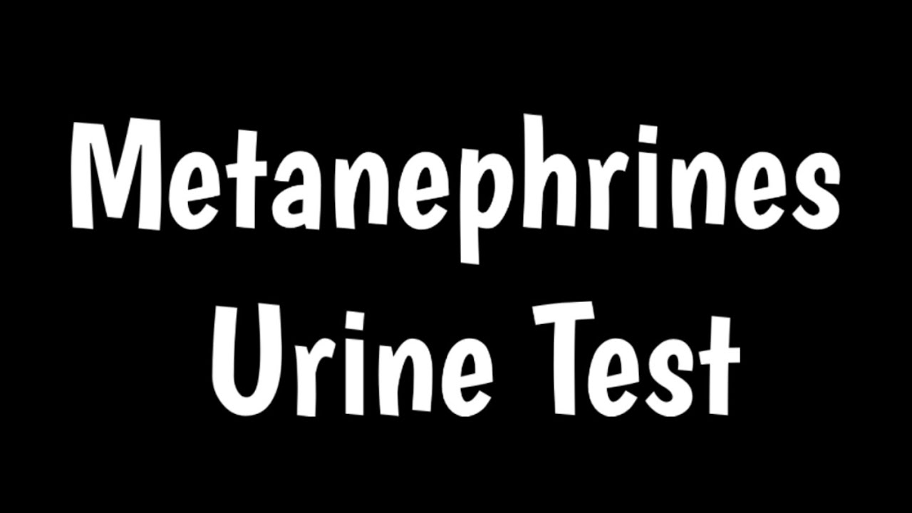 Metanephrines Urine Test | 24 hr Urine Test | - YouTube