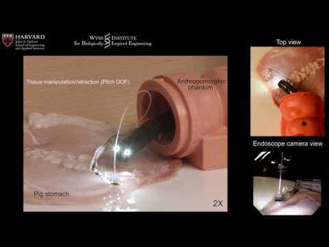 Soft Robotics for Endoscopy - YouTube