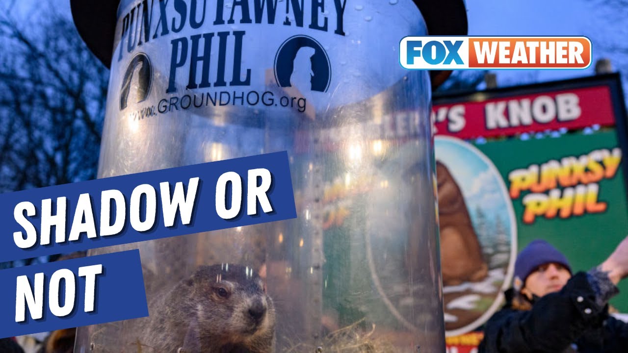 Will Punxsutawney Phil See His Shadow On Sunday? - YouTube