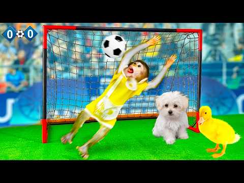 Maymun videoları BiBon monkey playing football with puppy and ducklings so funny🐵⚽