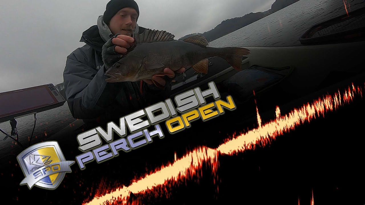 SWEDISH PERCH OPEN! När man deppar som värst! - YouTube