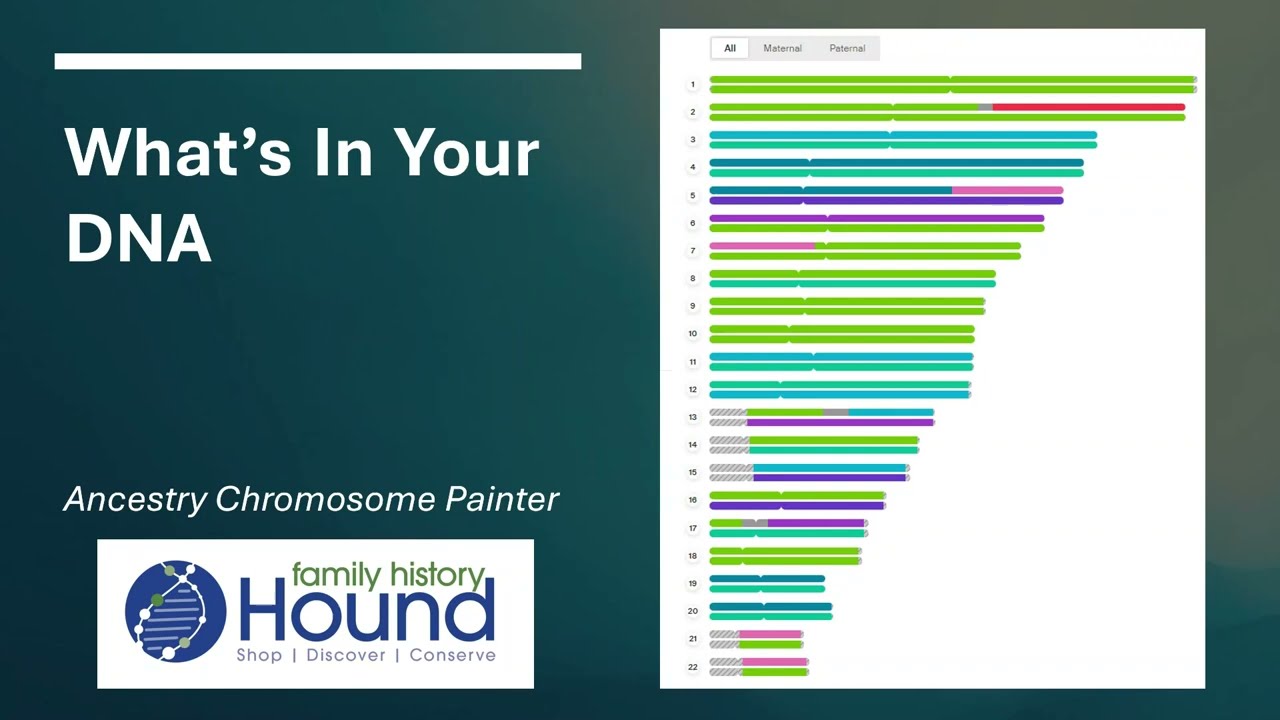 What's In Your DNA - AncestryDNA Chromosome Painter - YouTube