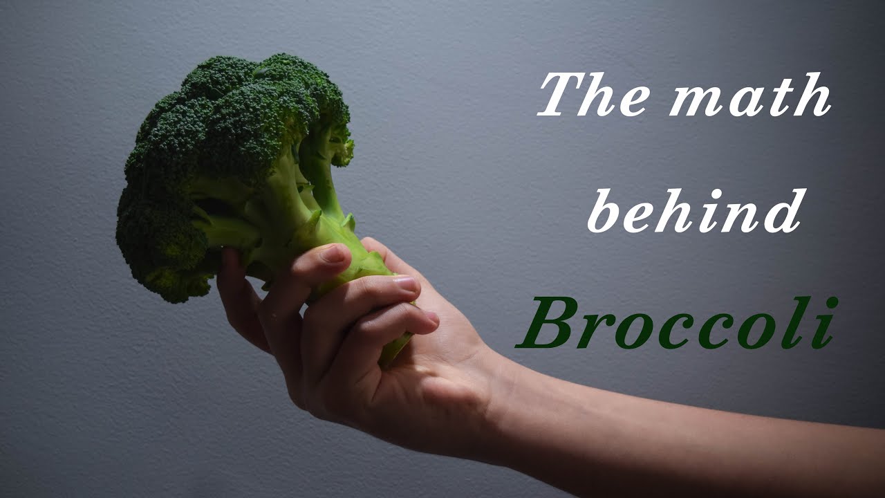 The math behind broccoli-Fractals - Abdelhaq Chaoui #Race2Space2019 ...