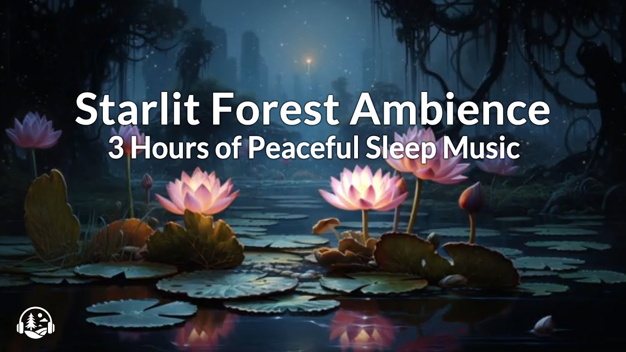 Moonlight & Starlight in a Quiet Forest: 3 Hours of Ambient Music for ...