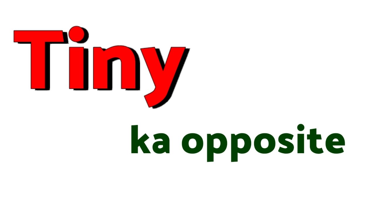 tiny ka opposite word / tiny ka opposite word kya hota hai / tiny ka ...