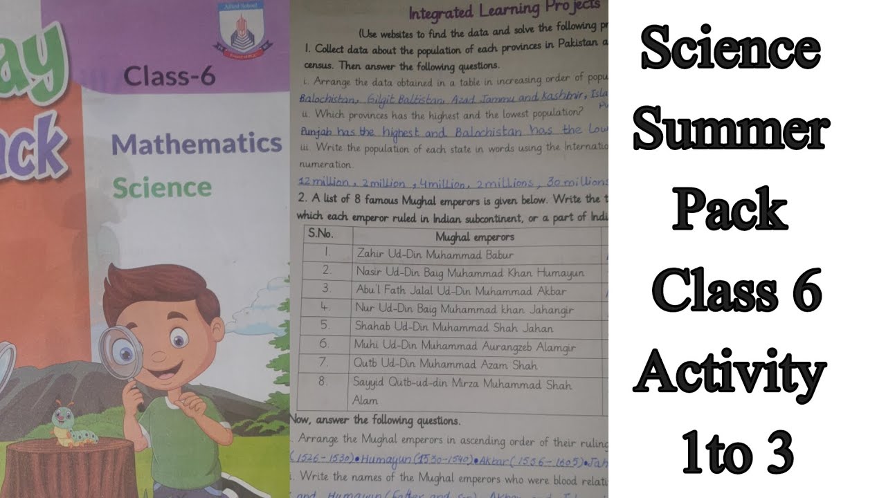 Allied school summer pack class 6 | Allied school summer pack class 6 ...