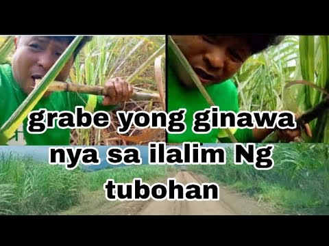 nag mukbang sa ilalim ng tubohan yan tuloy na pala 😅|tubohan sa ...