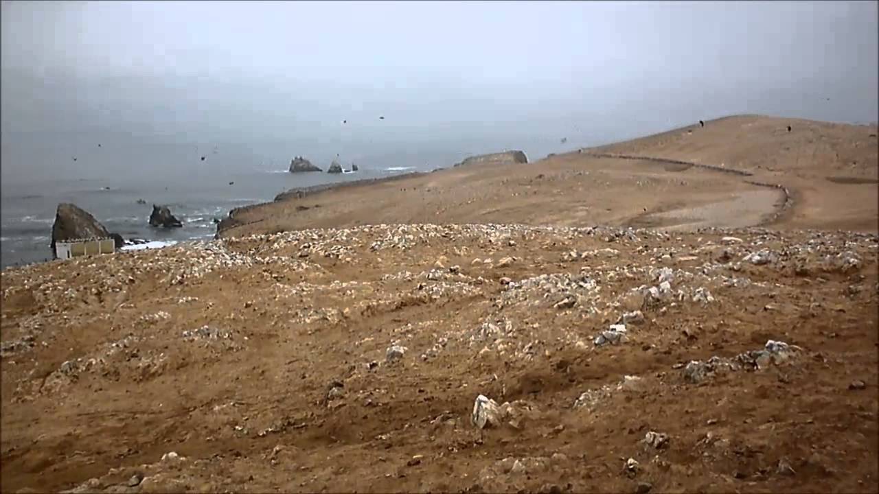 Isla Chincha Sur - YouTube