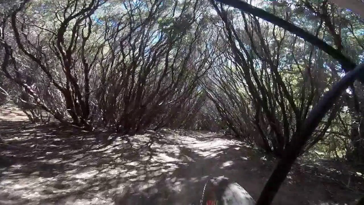 The acclaimed manzanita tunnel on the Just Outstanding Trail - YouTube
