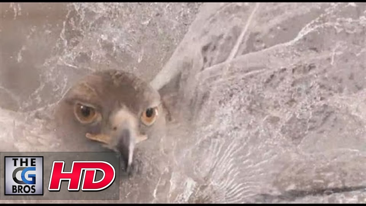 CGI VFX Spot : "Animals" - by Ignyte - YouTube